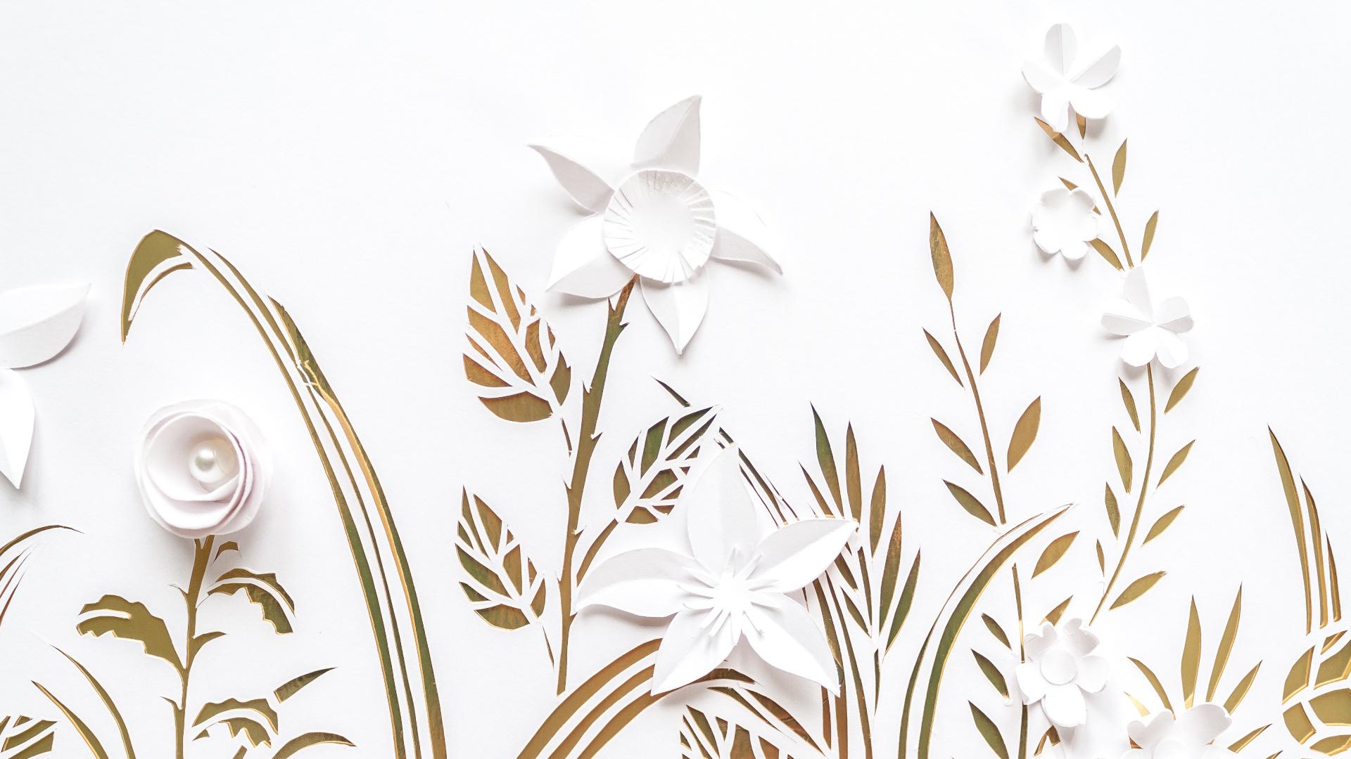 Papercut et découpeuse numérique | Réseau des bibliothèques de la ville ...